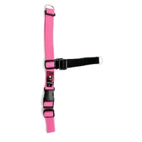 Training Halter Range