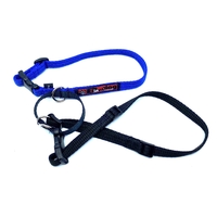 Head Halters