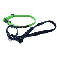 Head Halters Haltermate