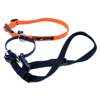 Head Halters