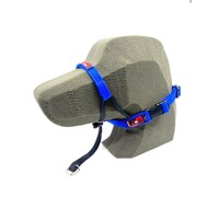 Head Halters