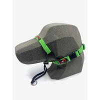Head Halters