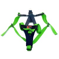 Harnesses Tracking Harness